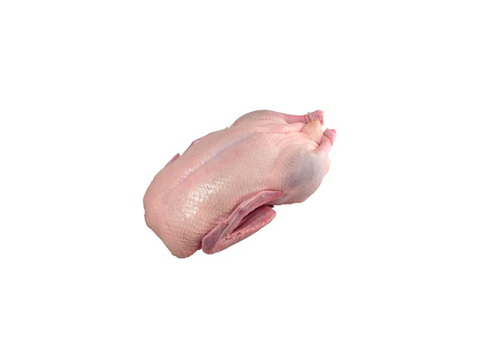 Duck (Frozen) – Asian Halal Meat & Food